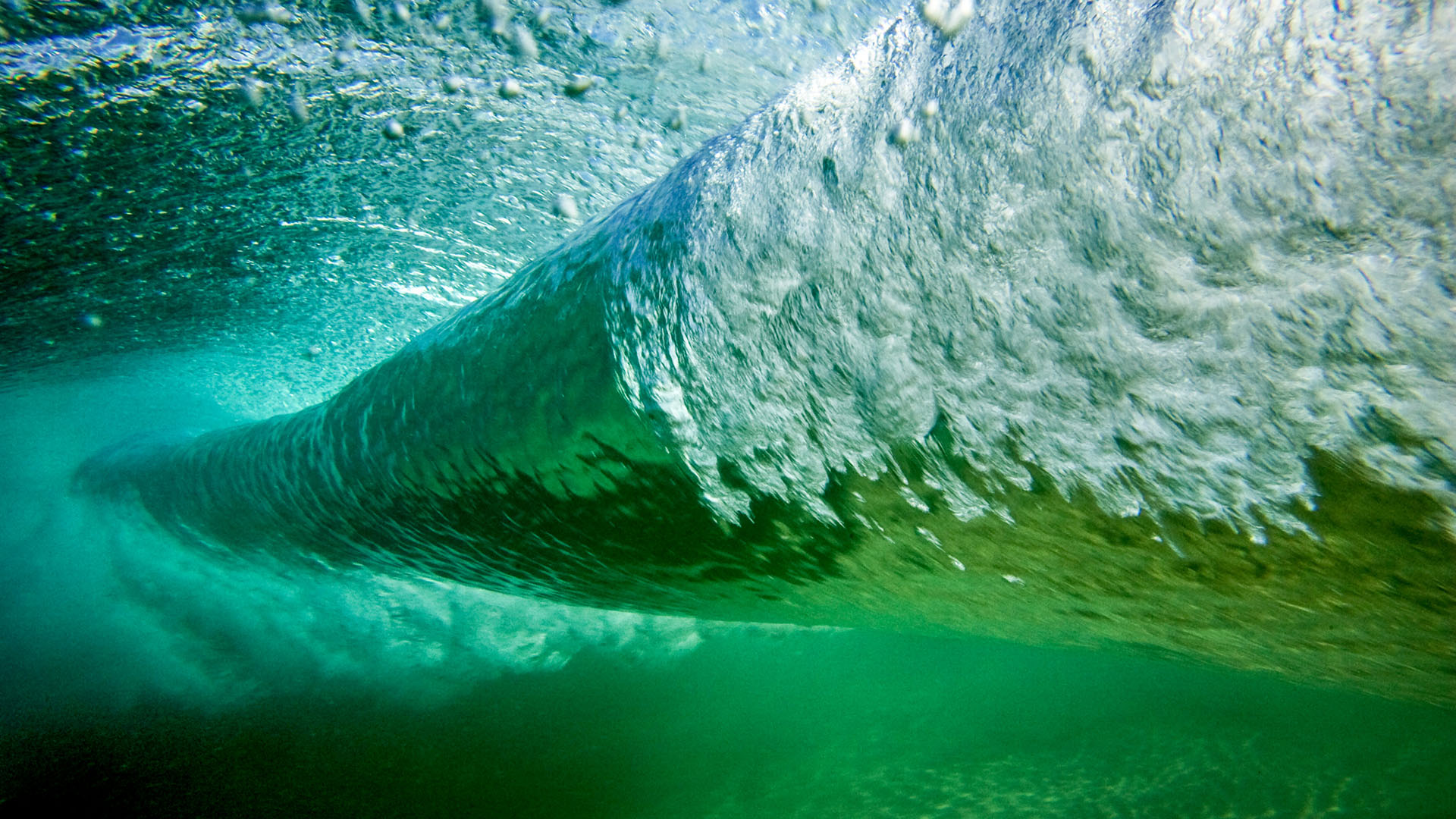 Wanda Wave Underwater, Sydney, Australia | Bob Barker Photography Sydney